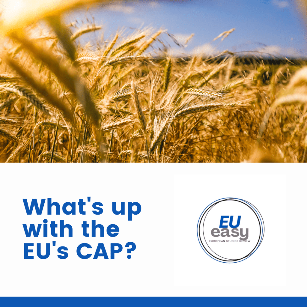 The EU’s Common Agricultural Policy Explained – European Studies Review